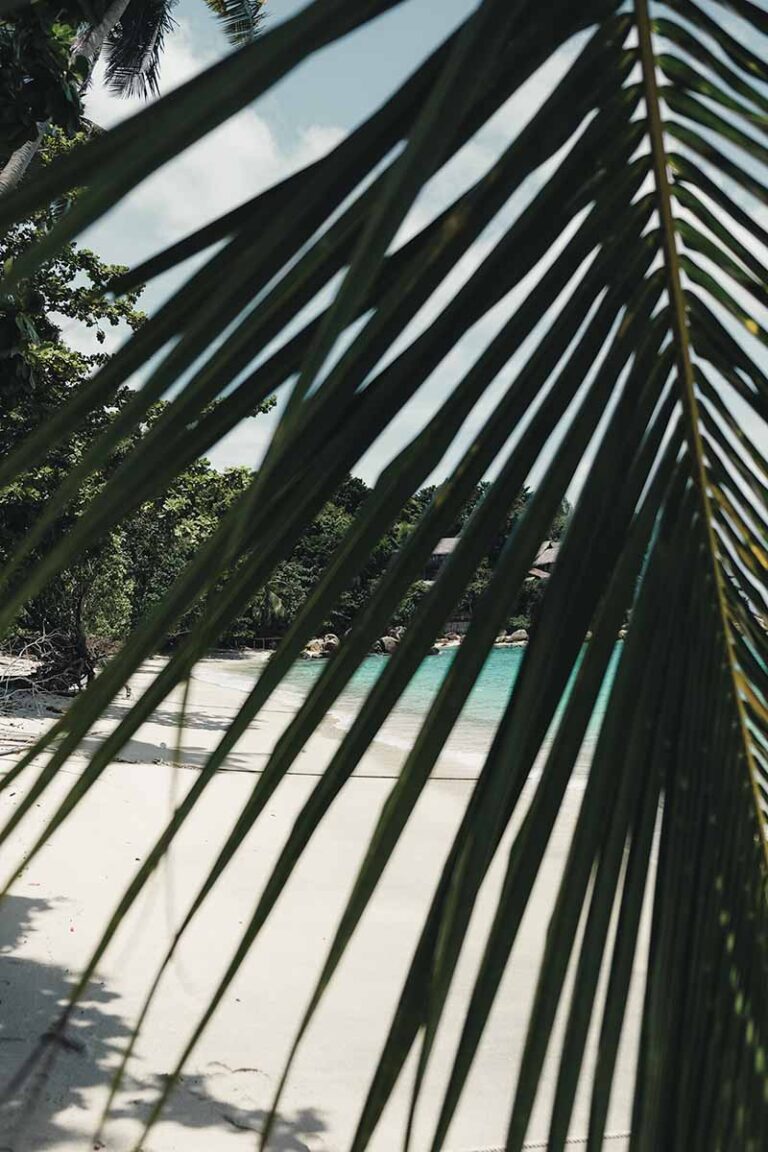 8 Best Beaches In Koh Lipe – Complete Guide