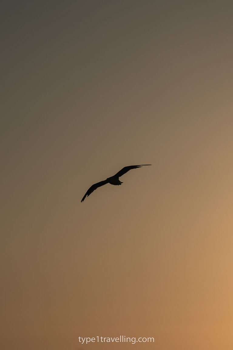 The Complete Guide To Tamraght, Morocco: A Sleepy Surf Town